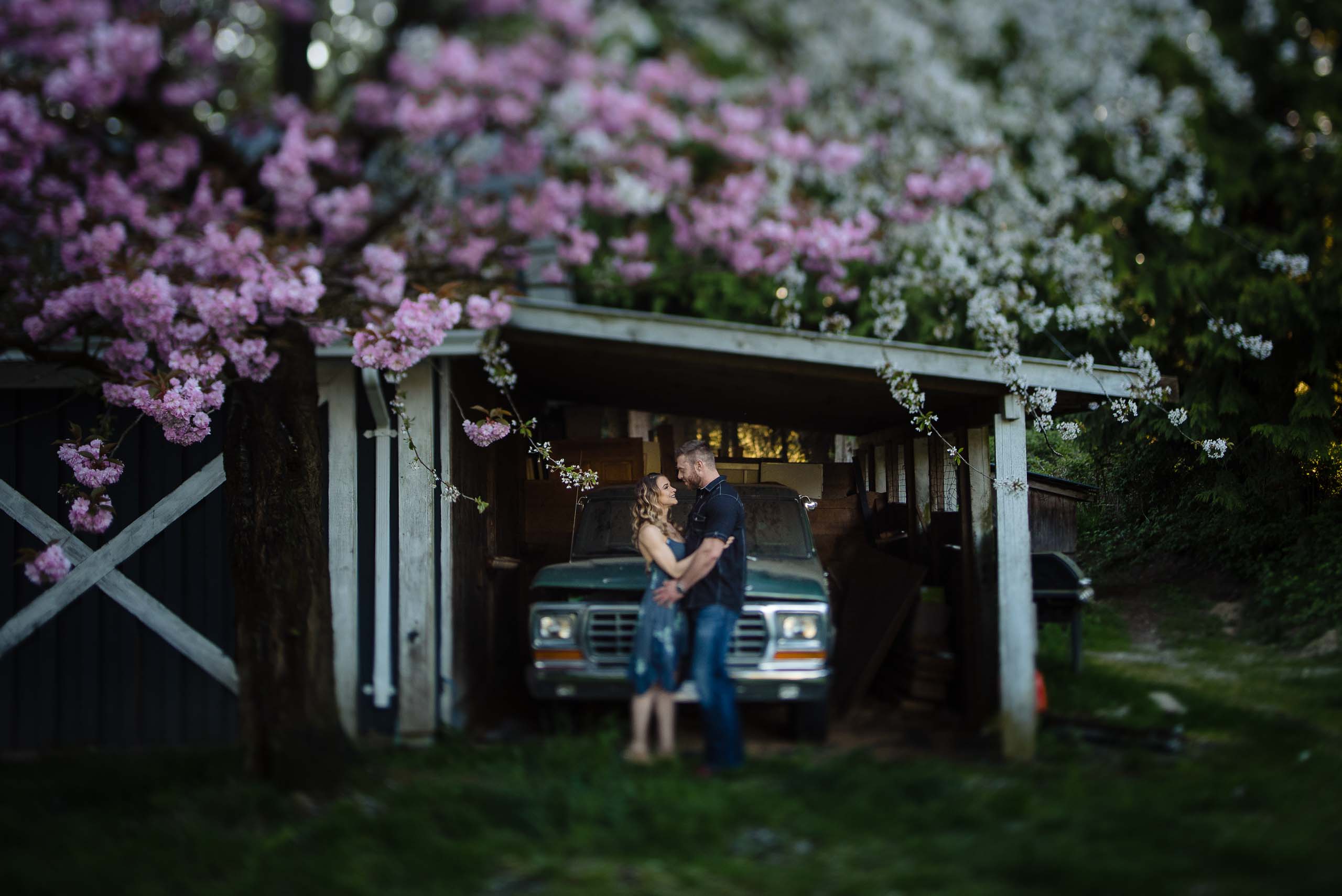 Farm for Photos in Sechelt, BC | Fresh Air Photography